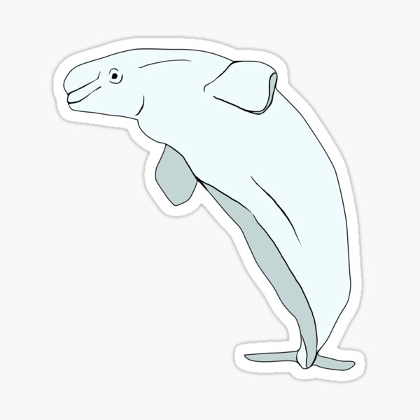 "Beluga whale" Sticker by gbfulford | Redbubble