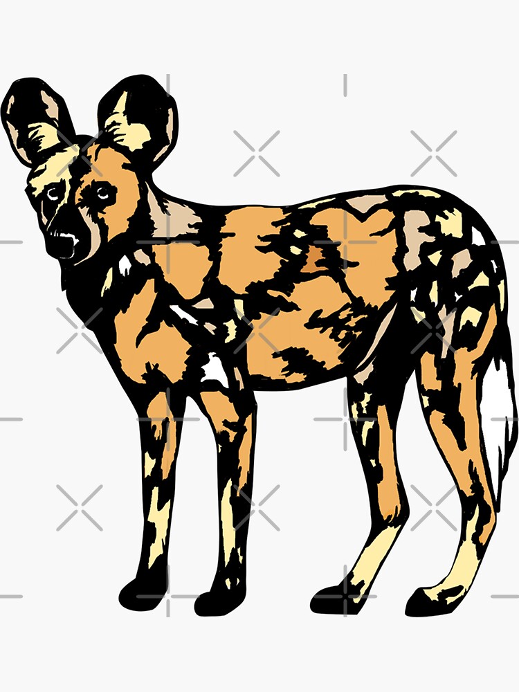 "African Wild Dog" Sticker for Sale by gbfulford | Redbubble