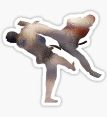Taekwondo: Stickers | Redbubble