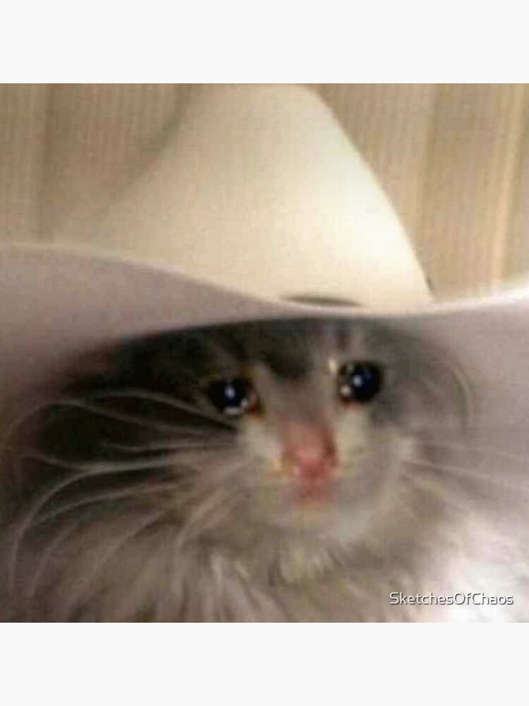 "sad cat yeehaw" Sticker for Sale by SketchesOfChaos | Redbubble