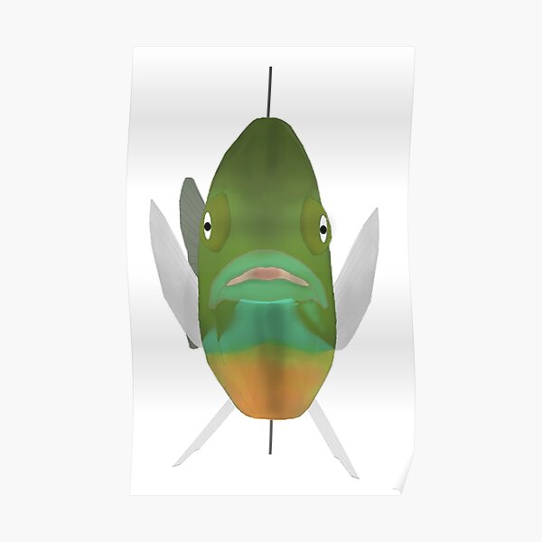 "Bluegill Sunfish - Fish Head" Poster by fishfolkart | Redbubble