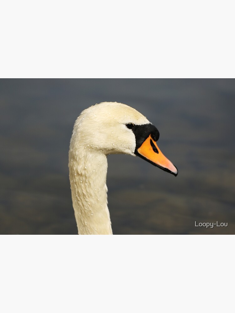"Popping up to say hello!" Poster by Loopy-Lou | Redbubble