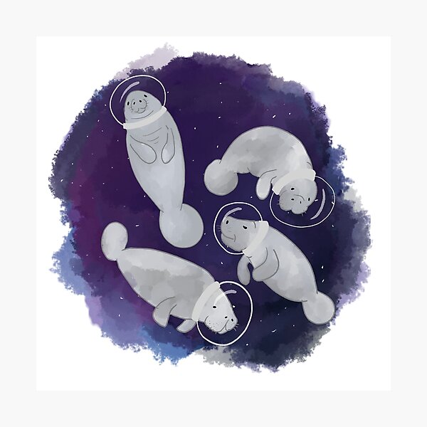 Manatee Gifts & Merchandise | Redbubble