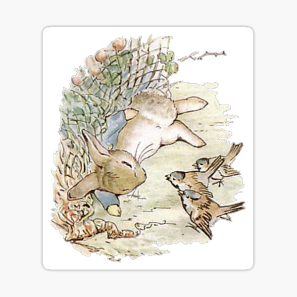 "THE SPARROWS IMPLORED PETER RABBIT TO GET UP from the TALE OF PETER ...