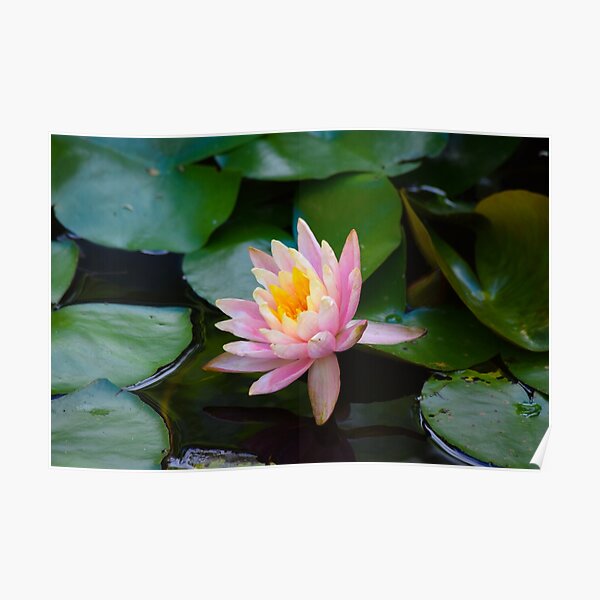 "LFB" Poster for Sale by staytillaugust | Redbubble