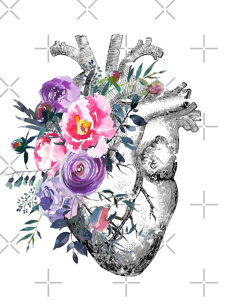 Corazón Humano Tumblr Bloem Hart Liefde Biologie Geneeskunde