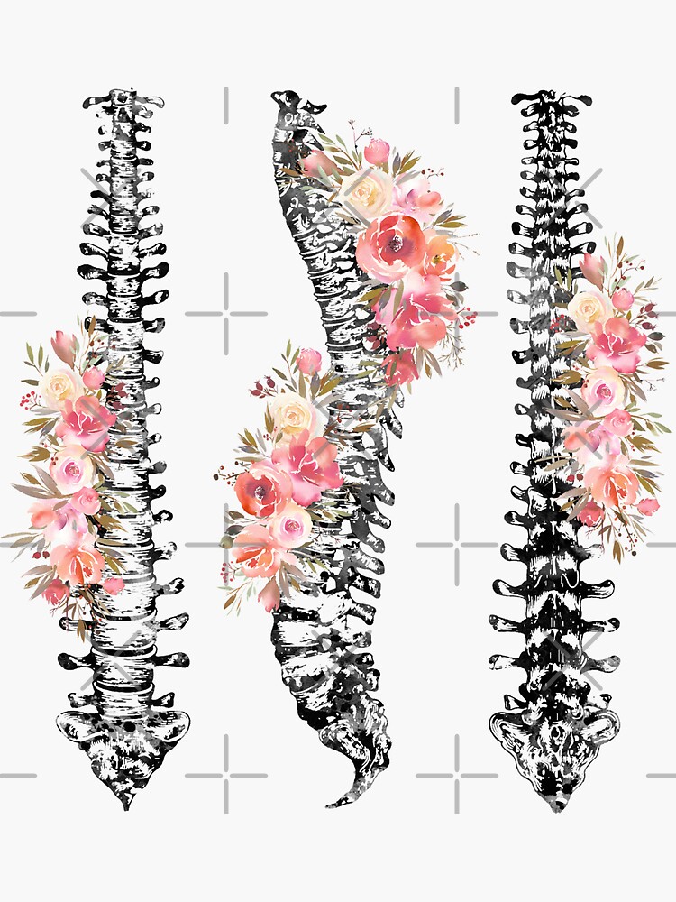 "Human Spine" Sticker for Sale by erzebetth | Redbubble