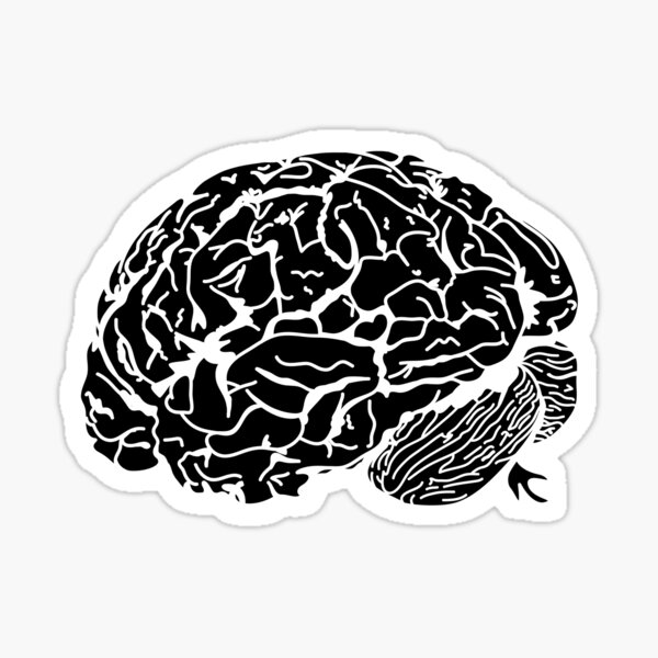 "Simple Brain Drawing" Sticker for Sale by mydragonzeatyou | Redbubble