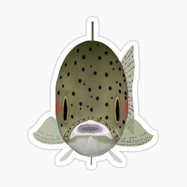 "Rainbow Trout - Fish Head" Sticker by fishfolkart | Redbubble