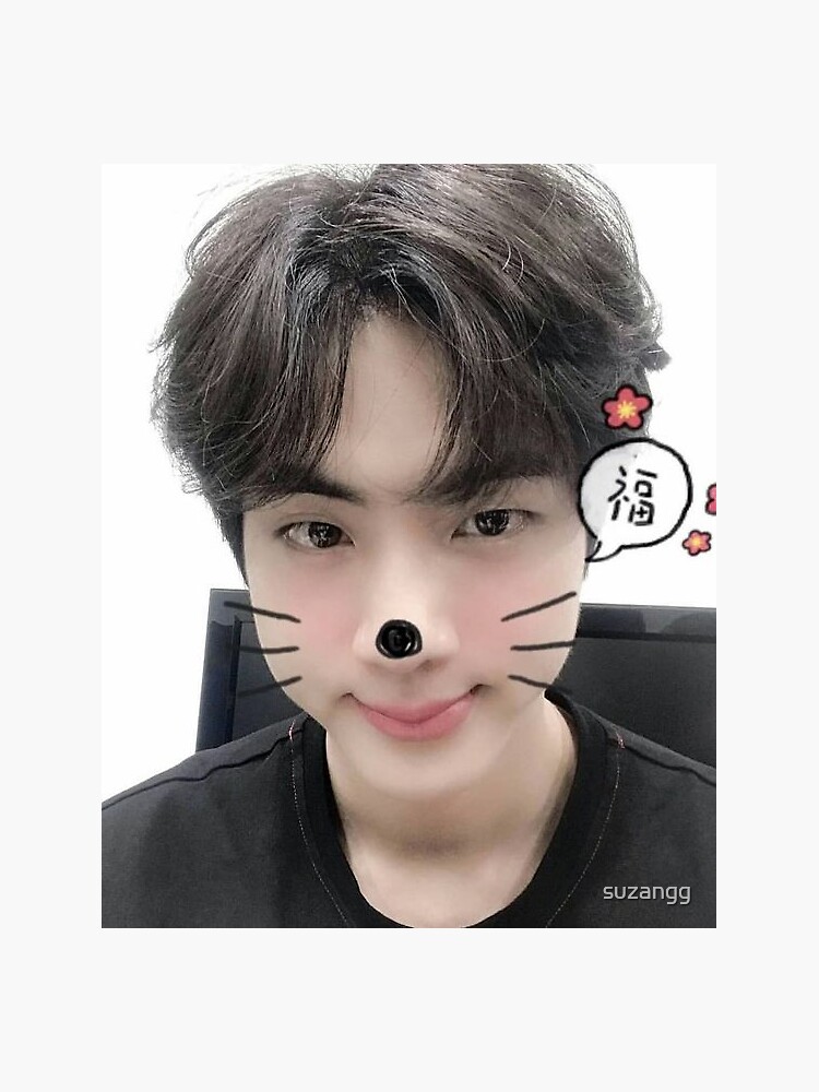 "bts seokjin jin cute filter selfie" Sticker by suzangg | Redbubble