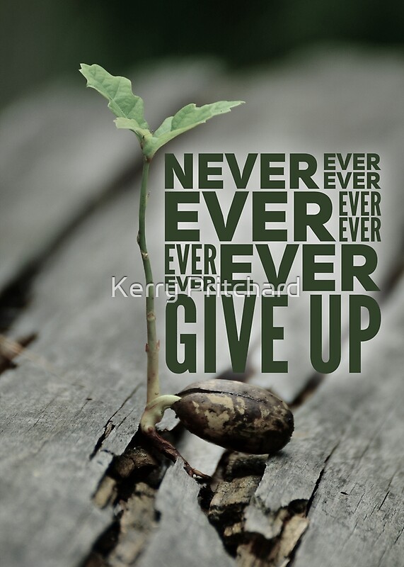 "never ever ever ever ever ever give up" by WordFandom | Redbubble