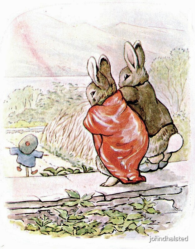 "PETER RABBIT AND BENJAMIN BUNNY SURVEY MR MCGREGORS FIELD from “the ...
