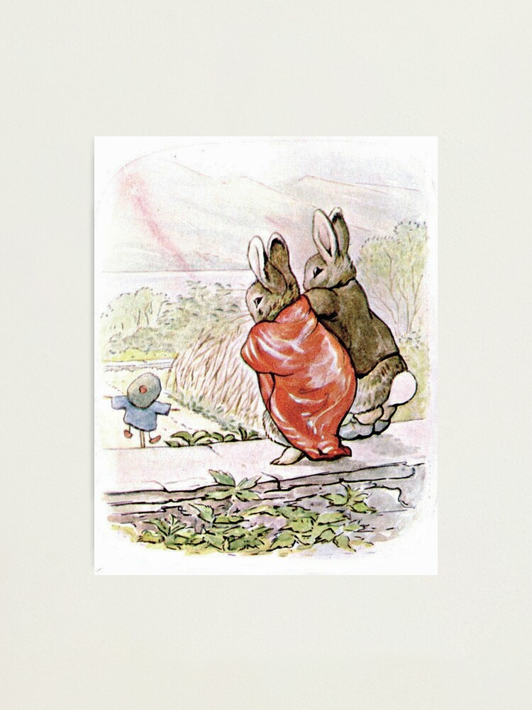 "PETER RABBIT AND BENJAMIN BUNNY SURVEY MR MCGREGORS FIELD from “the ...