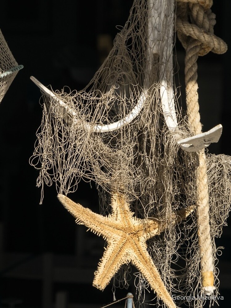 "Sunlit Nautical Display in a Seafood Restaurant Window" iPhone Case ...