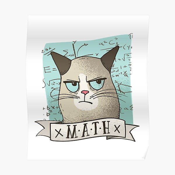 Póster «GATO DE MATEMÁTICAS» de ViSam | Redbubble
