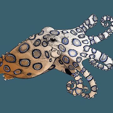 "Blue-Ringed Octopus Color" Sticker for Sale by feralbeagle | Redbubble