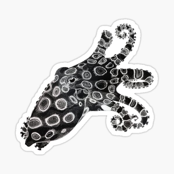 "Blue-Ringed Octopus Pen and Ink, Inverted" Sticker by feralbeagle ...