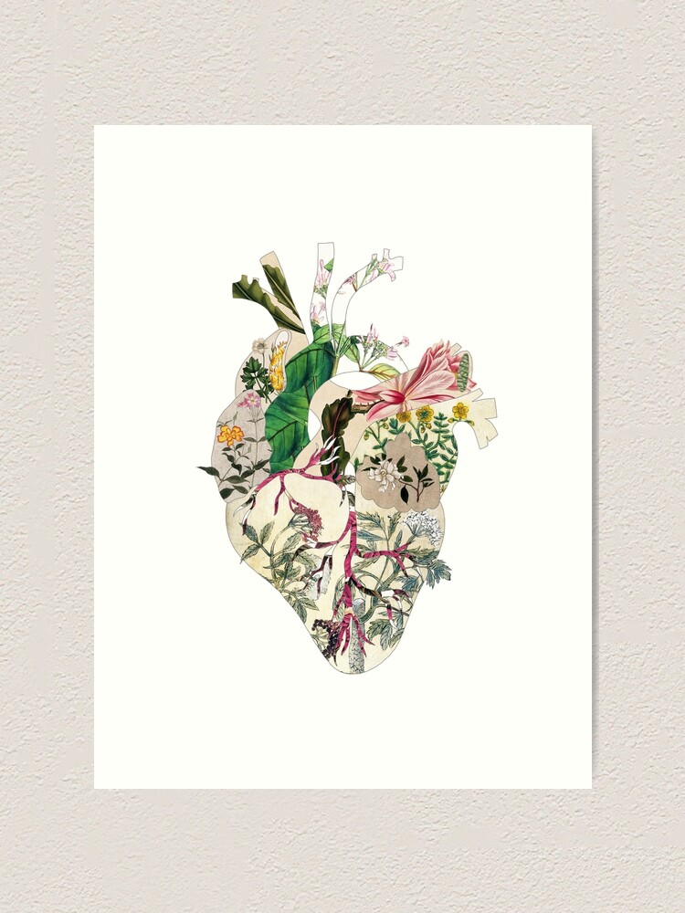 "Vintage Botanical Heart" Art Print for Sale by BiancaGreen | Redbubble