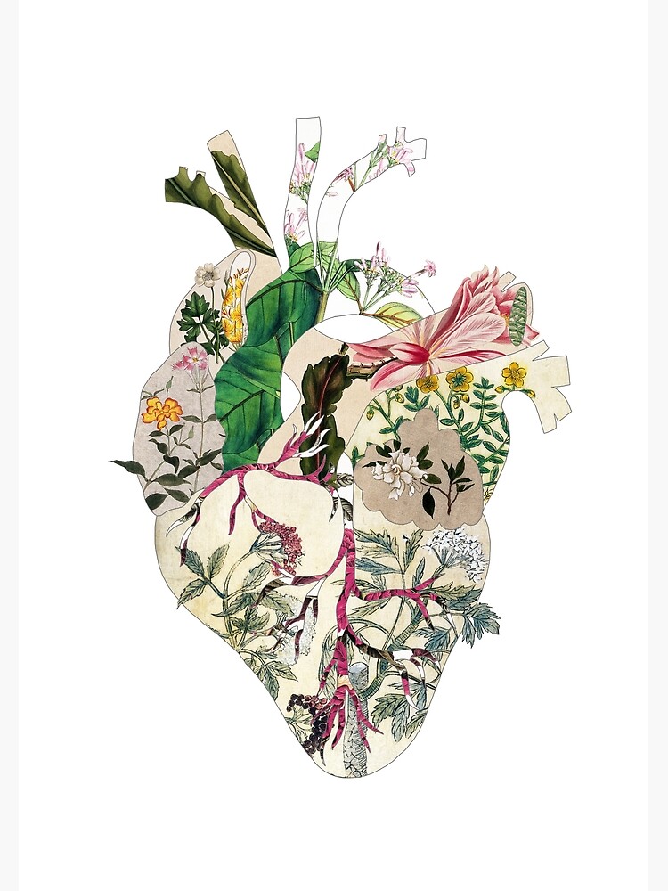 "Vintage Botanical Heart" Art Print for Sale by BiancaGreen | Redbubble