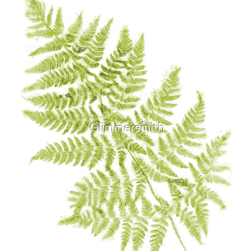 "Fresh Fern Airy Modern Botanical Watercolor Painting" by Glimmersmith ...