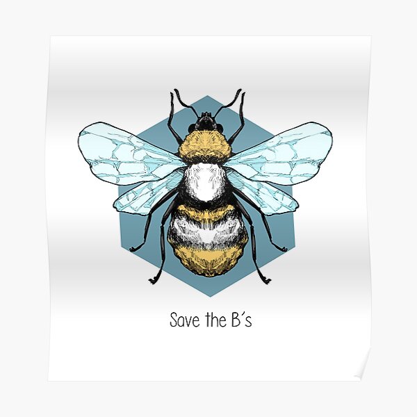 Guard Bees with their Queen Queen's Royal Guard Honey Bee Bubble-free ...