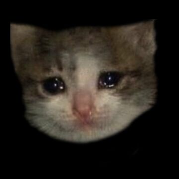 "Sad Cat meme sticker" Sticker for Sale by xmememachinex69 | Redbubble