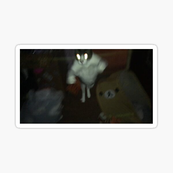 "Cursed cat 01" Sticker for Sale by Audities | Redbubble