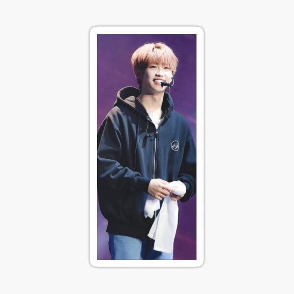 "Stray Kids Felix" Sticker for Sale by straykings | Redbubble