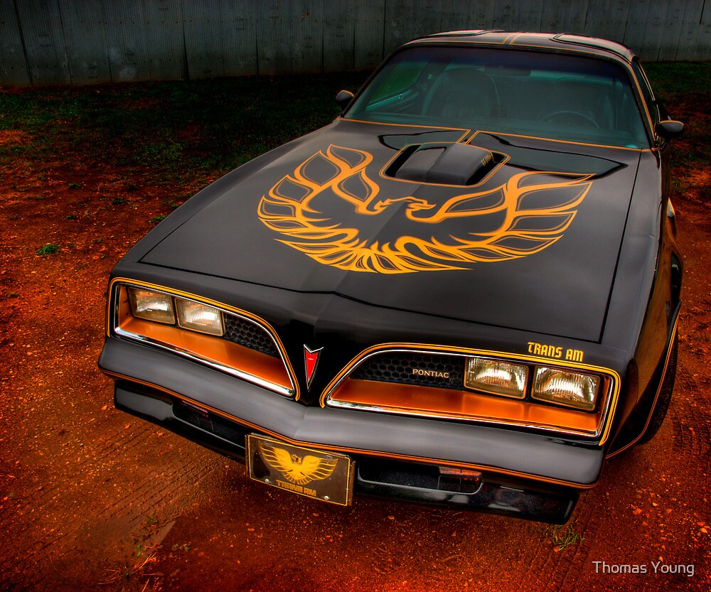 "Trans Am 3" by Thomas Young | Redbubble