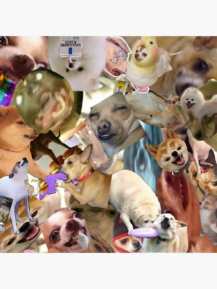 "cursed dogs" Sticker for Sale by emilyfoo | Redbubble