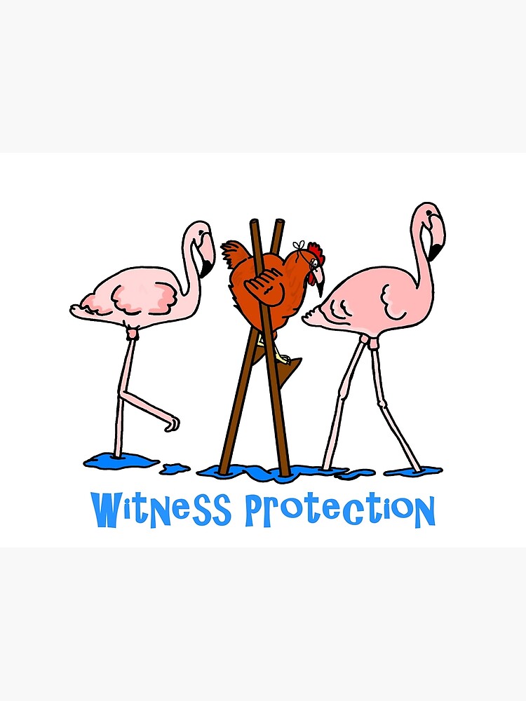 Witness Protection Memes