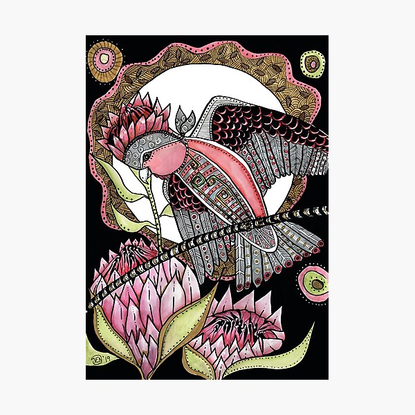 "Galah artwork" Photographic Print by dishmoptop | Redbubble
