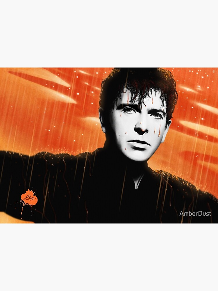 Peter Gabriel :: Red Rain Canvas sold by Christian Taylor | SKU ...