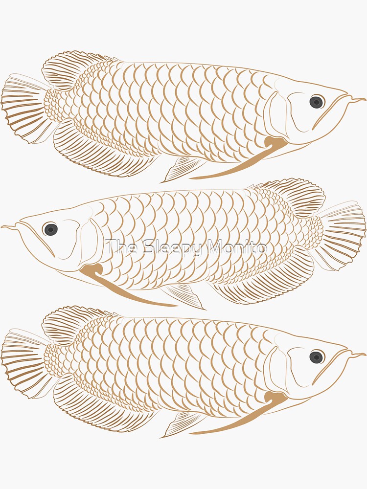 "Arowana" Sticker by Thesleepymonito | Redbubble