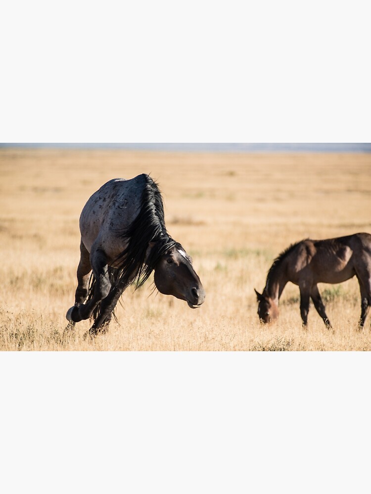 "A Snaking Stallion" Poster by Kellith | Redbubble