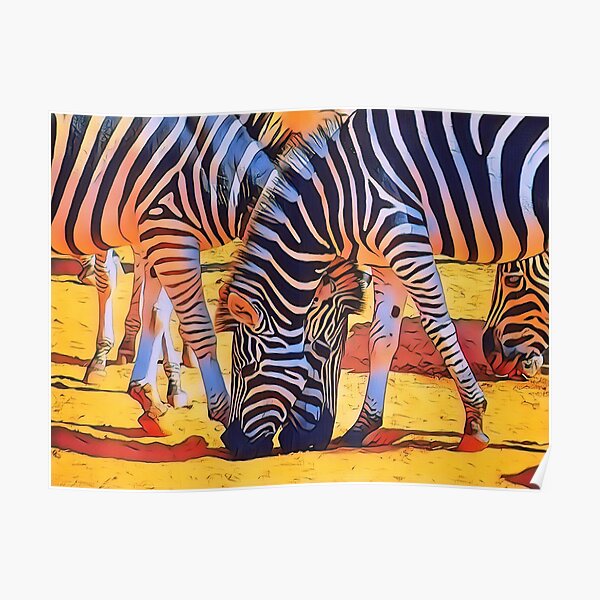 "Brilliant Zebra Crossing Pop Art Safari Wildlife Photography ...