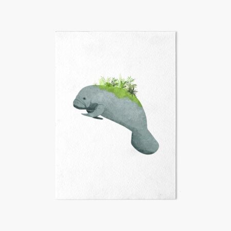 "Majestic Sea Cow" Art Board Print for Sale by katherineblower | Redbubble