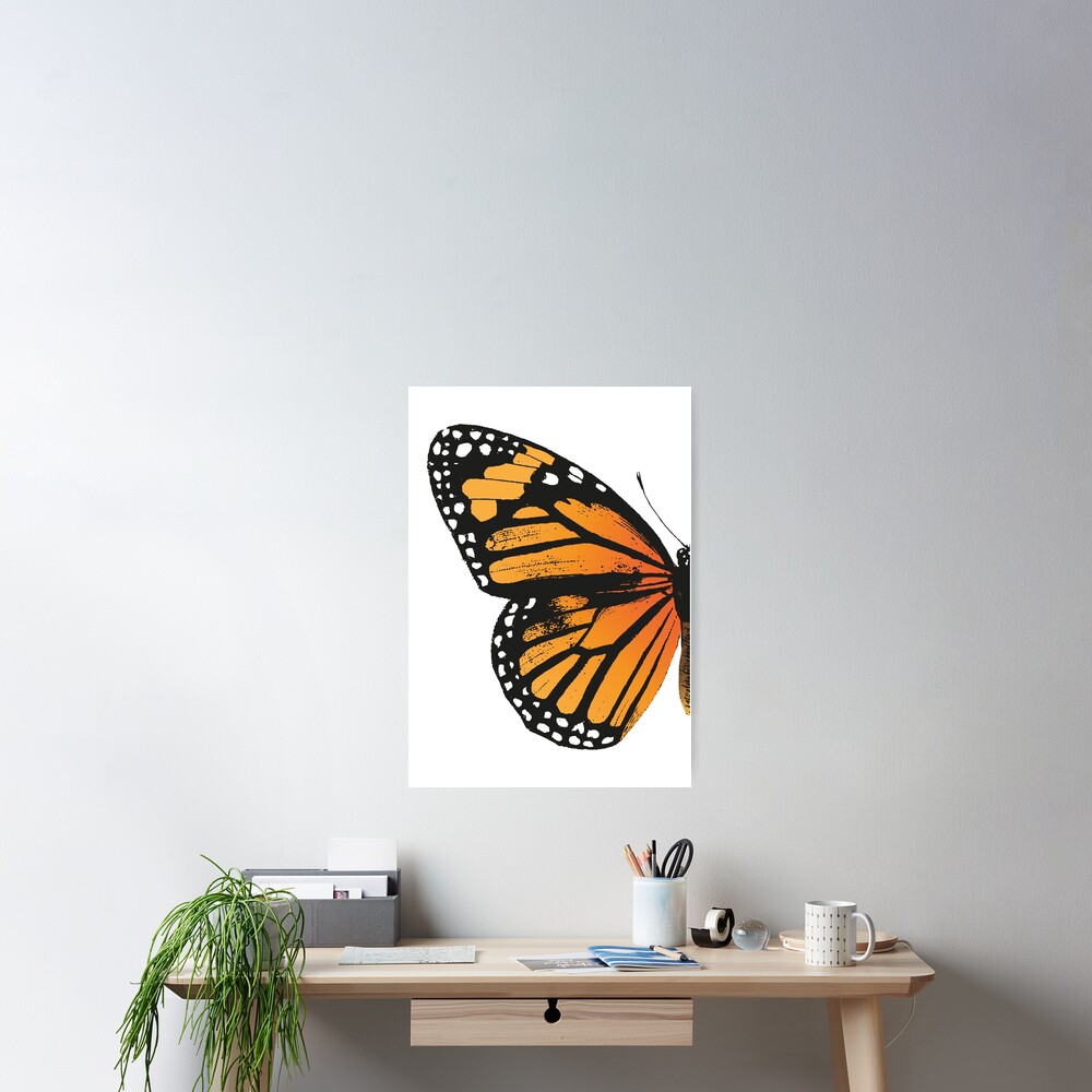 "Monarch Butterfly | Left Wing | Vintage Butterflies | Butterfly Wings ...