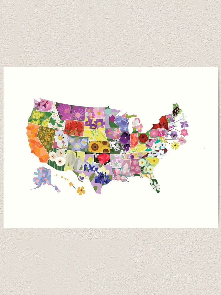 "State Flower Map" Art Print for Sale by bcawley | Redbubble