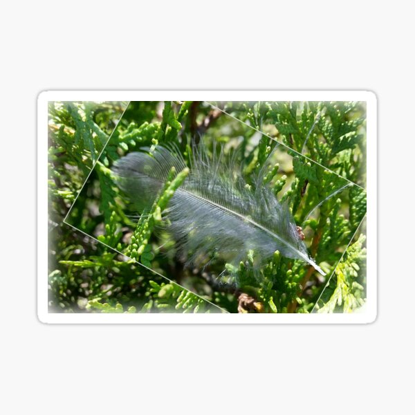 "A stray feather" Sticker for Sale by feiermar | Redbubble