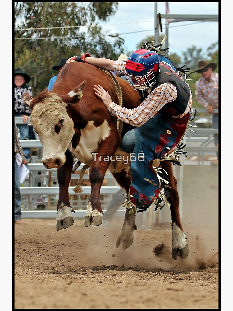 "BULL...RIDING" Sticker for Sale by Tracey66 | Redbubble