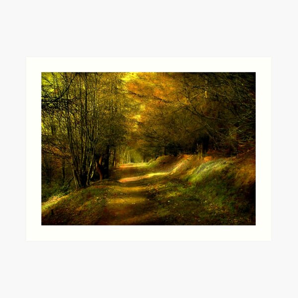 "The Coppice Accrington." Art Print by pinkorchid | Redbubble