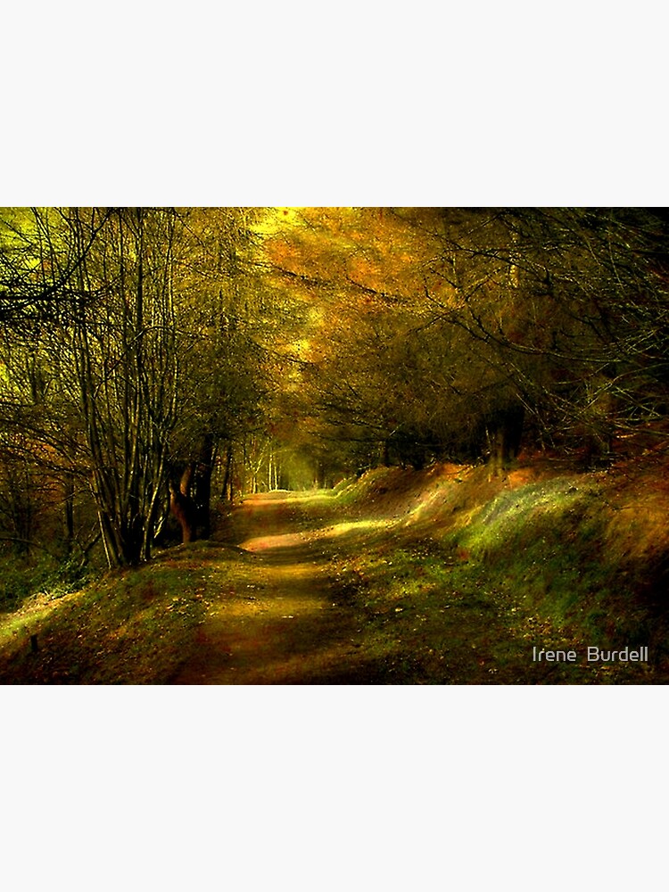 "The Coppice Accrington." Art Print by pinkorchid | Redbubble