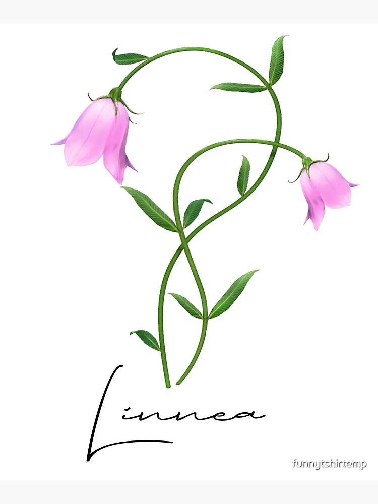 "Nordic Wildflower Linnea Twinflower Pretty Pink Flowers floral ...