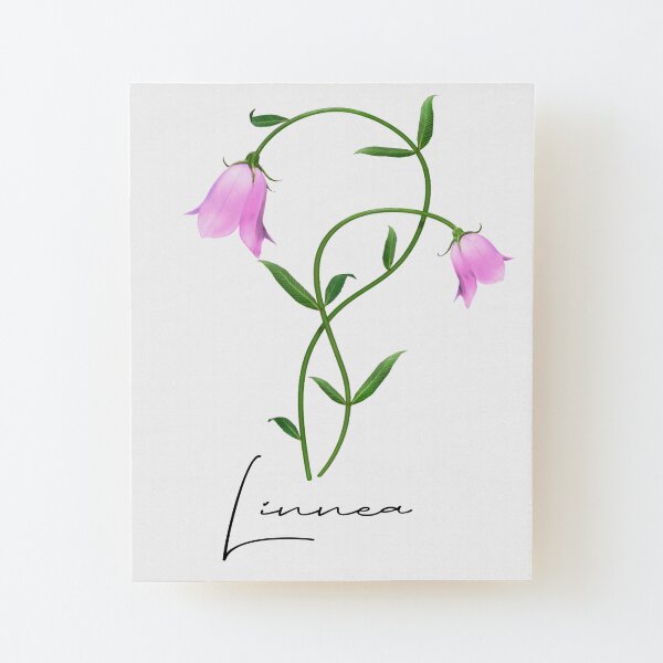 "Nordic Wildflower Linnea Twinflower Pretty Pink Flowers floral ...