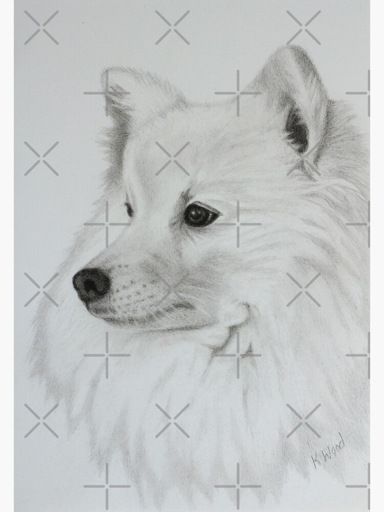 "Japanese Spitz Portrait" Art Print for Sale by KarenWoodArt | Redbubble