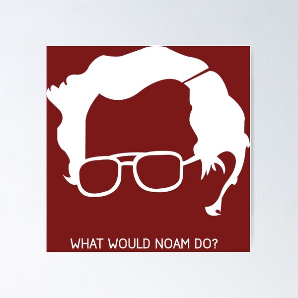 "Noam Chomsky" Poster for Sale by Ginger Alen | Redbubble