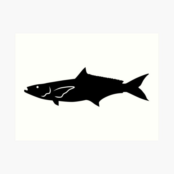 "Cobia Fish Silhouette (Black)" Art Print for Sale by SandpiperDesign ...