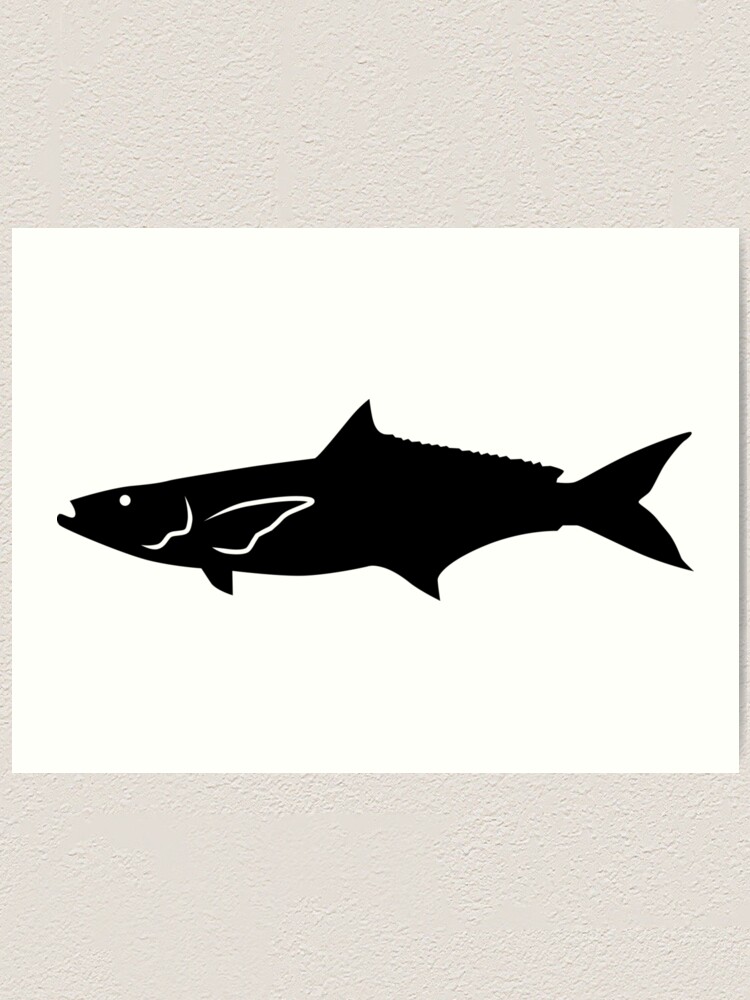 "Cobia Fish Silhouette (Black)" Art Print for Sale by SandpiperDesign ...