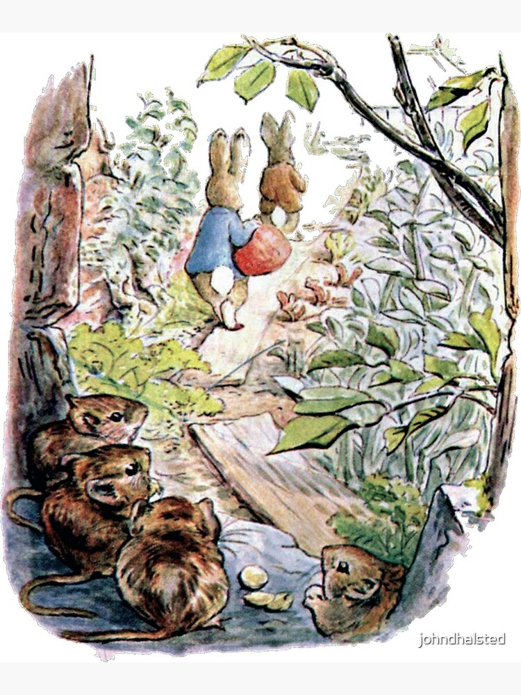 "THE MICE WINKED AT PETER AND BENJAMIN AS THEY RACED PAST, CHASED BY ...